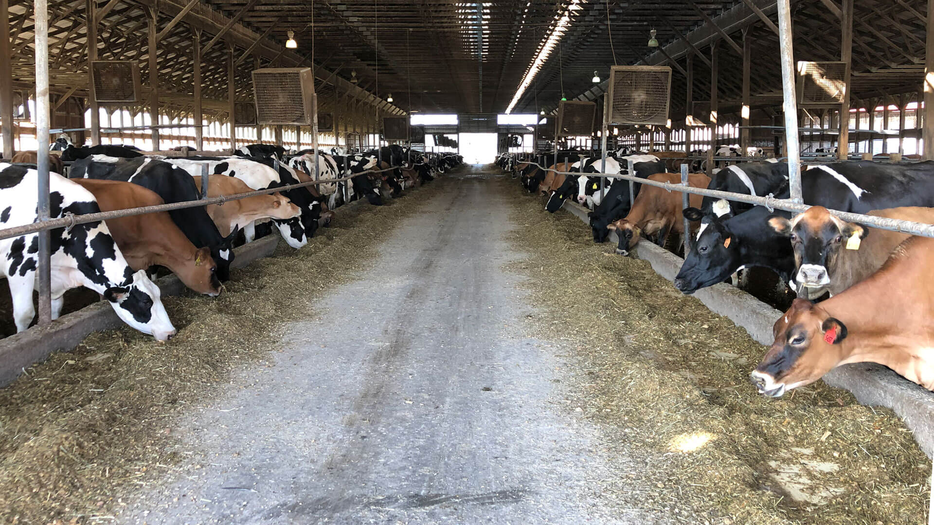 Educational Standards - Dairy Leaders of Tomorrow